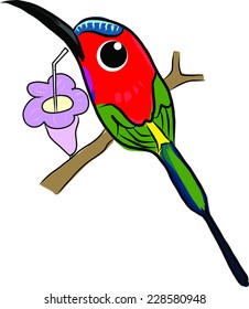 189 Sunbird Stock Vectors, Images & Vector Art | Shutterstock