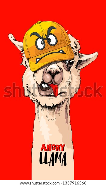 Funny Poster Llama Cap Angry Smiley Stock Vector (Royalty Free) 1337916560