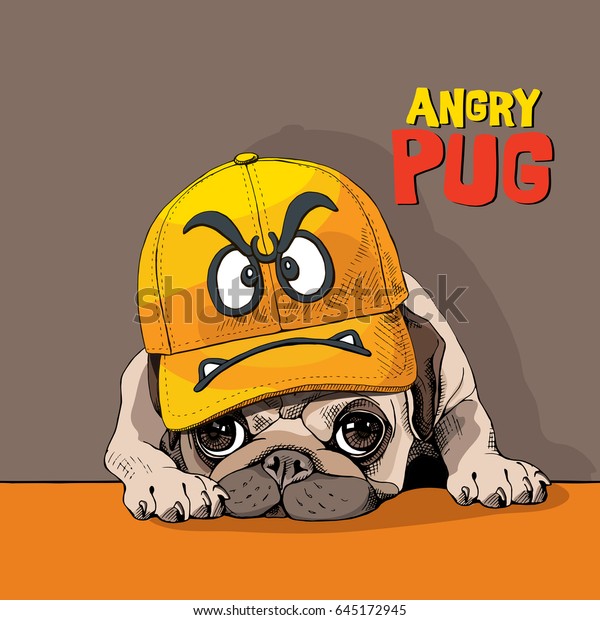 Gracioso Pug con una gorra amarilla con una sonrisa furiosa ...