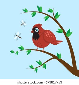 Funny Red Bird Sitting On Branch Stock Vector (Royalty Free) 693817753 ...