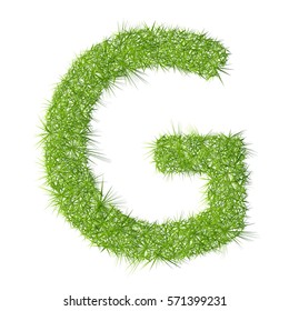 G Grass Letter On White Background Stock Vector (Royalty Free ...