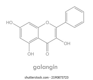 Galangin Structure Molecule Flavonol Flavonoid Found Stock Vector ...