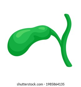Gall Bladder Cartoon Icon Cholecyst Anatomy Stock Vector (Royalty Free ...