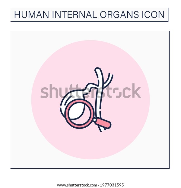 Gallbladder Color Icon Gallbladder Examination Diagnostic Stock Vector ...