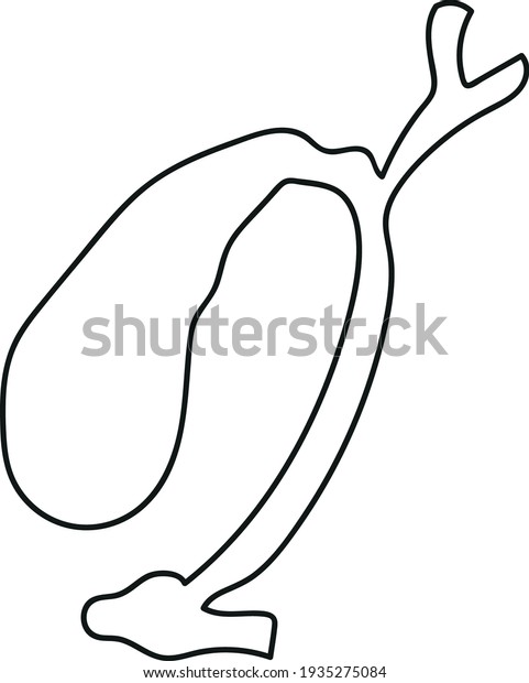 Gallbladder Doodle Style Organ Human Stock Vector (Royalty Free ...
