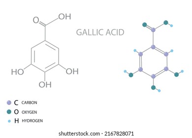 Gallic Acid Molecular Skeletal 3d Chemical Stock Vector (Royalty Free ...