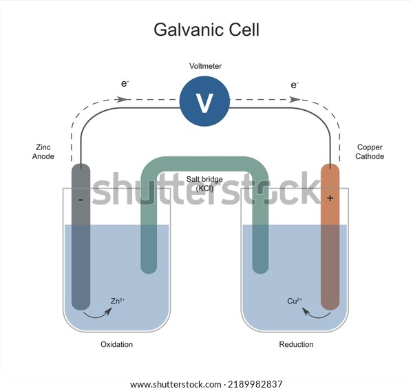 Galvanic Cell Voltaic Cell Electrochemical Cell: เวกเตอร์สต็อก (ปลอดค่า ...