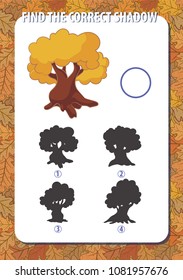 Game Kids Find Correct Shadow Tree Stock Vector (Royalty Free ...