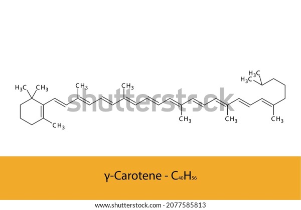 Gamma Carotene Skeletal Structure Molecular Formula Stock Vector ...