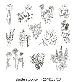 Garden Flowers Vector Illustrations Line Set Stock Vector (Royalty Free ...