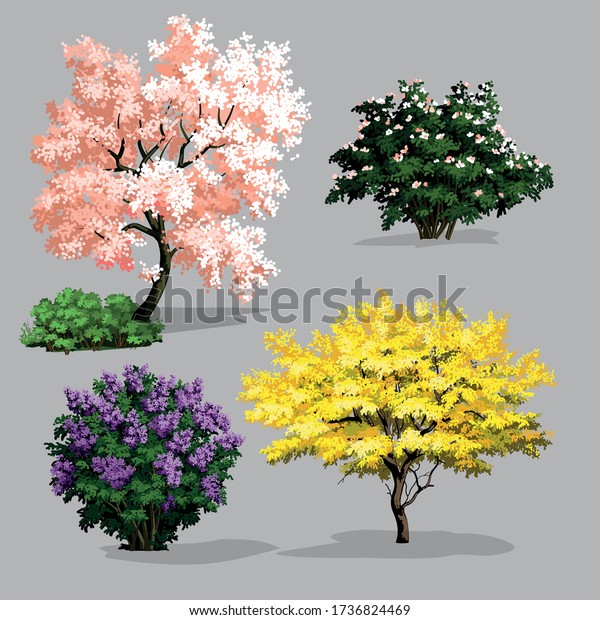 Garden Plants Vector Illustration Set Your Stock Vector (Royalty Free ...