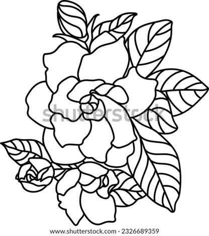 Gardenia Flower Drawing | Free download on ClipArtMag
