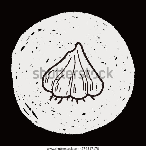 Garlic Doodle Stock Vector (Royalty Free) 274317170