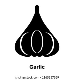 312 Garlic png Images, Stock Photos & Vectors | Shutterstock
