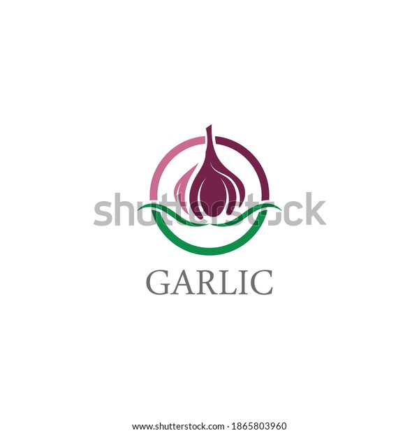 Garlic Logo Icon Symbol Design Vector: เวกเตอร์สต็อก (ปลอดค่าลิขสิทธิ์ ...
