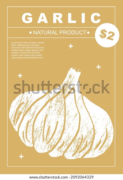Garlic Set Posters Fruits Vegetables Abstract Stock Vector (Royalty ...