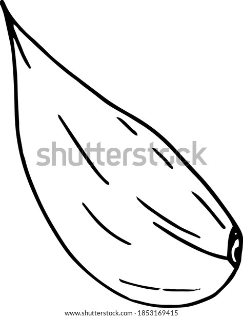 Garlic Slice Clove Icon Label Menu Stock Vector (Royalty Free ...
