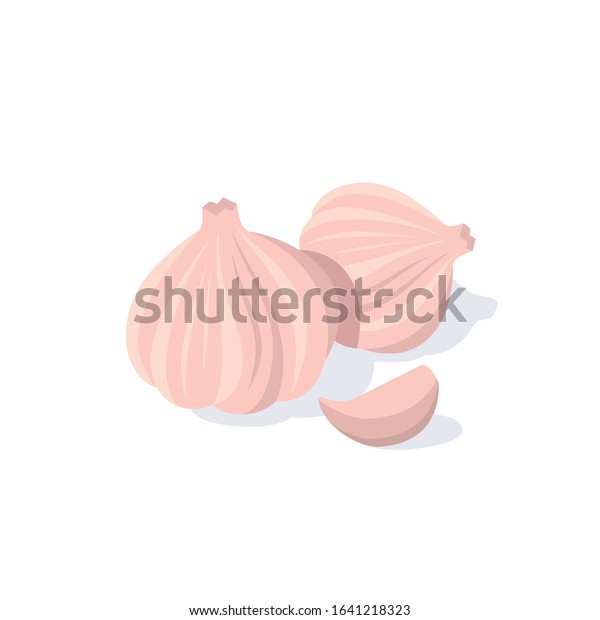 Garlic Vector 3d Isometric Color Web Stock Vector (Royalty Free ...