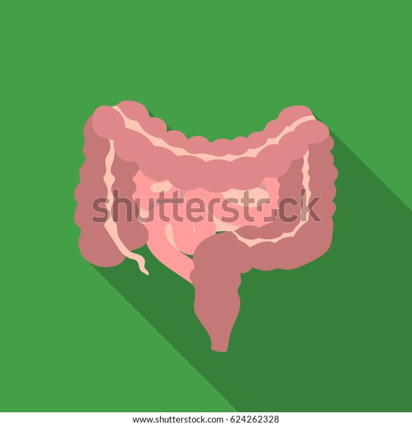 Gastrointestinal Tract Icon Flat Style Isolated Stock Vector (Royalty ...