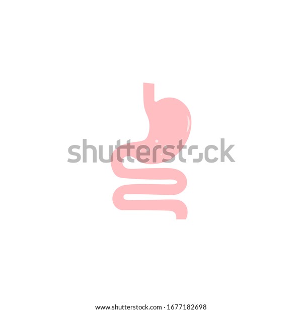 Gastrointestinal Tract Intestines Guts Stomach Digestive Stock Vector ... Gastrointestinal Tract Intestines Guts Stomach Digestive Stock Vector ...