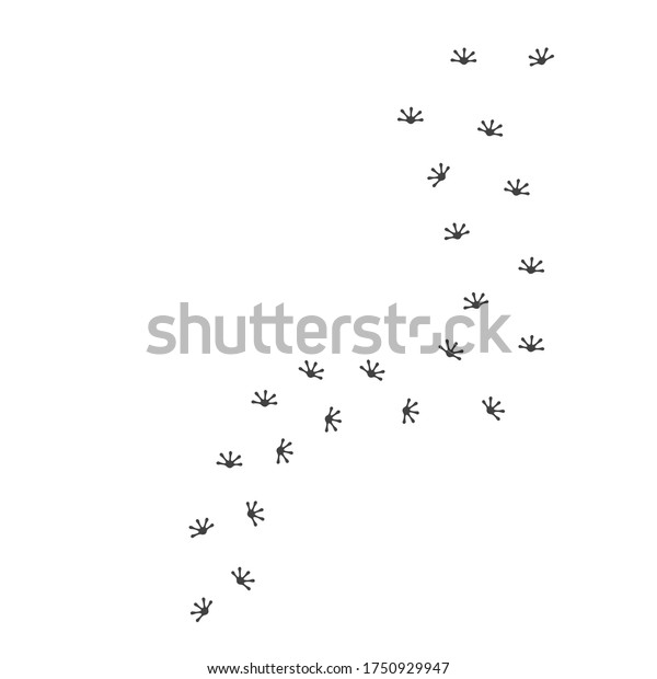Gecko Foot Print Vector Icon Illustration Stock Vector (Royalty Free ...