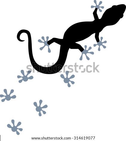 Gecko Footprint Stock Vector (Royalty Free) 314619077 - Shutterstock