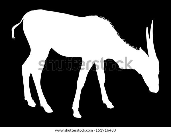 Gemsbok Vector Portrait Standing White Silhouette : image vectorielle ...