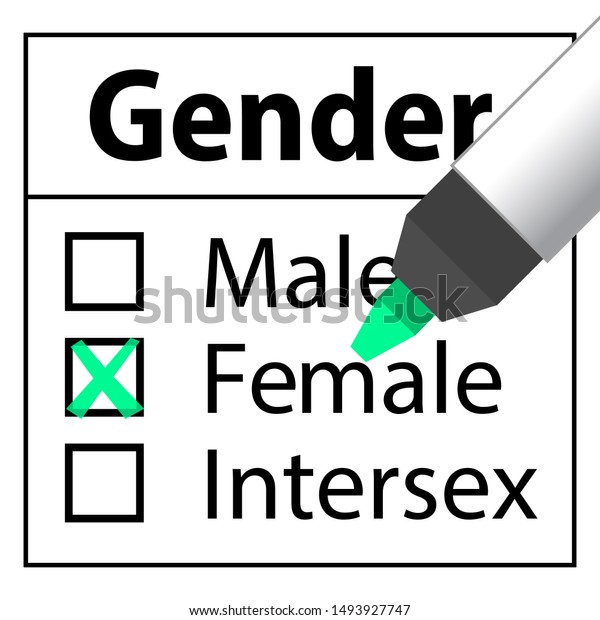 Gender Checkbox Female Vector Illustration Stock Vector (Royalty Free ...