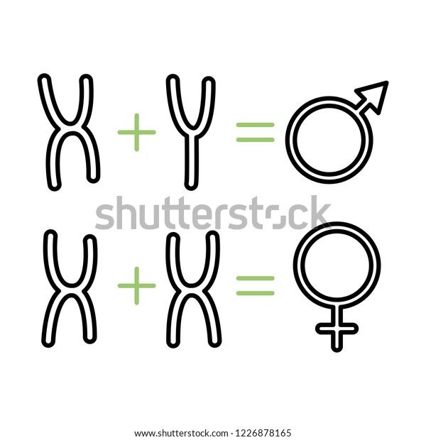Gender Chromosomes Icon Stock Vector (Royalty Free) 1226878165 Gender Chromosomes Icon Stock Vector (Royalty Free) 1226878165