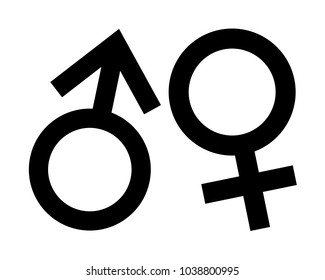 Gender Icon Pictogram Vector Stock Vector (Royalty Free) 1038800995 ...