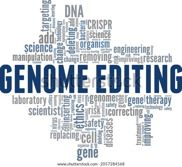 Gene Genome Editing Vector Illustration Word Stock Vector (Royalty Free ...