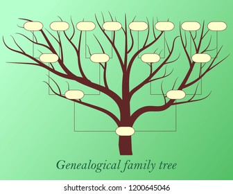 Genealogical Family Tree Vector Design Stock Vector (Royalty Free ...