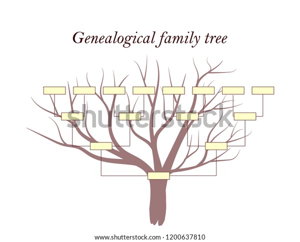 Genealogical Family Tree Vector Design Stock Vector (Royalty Free ...
