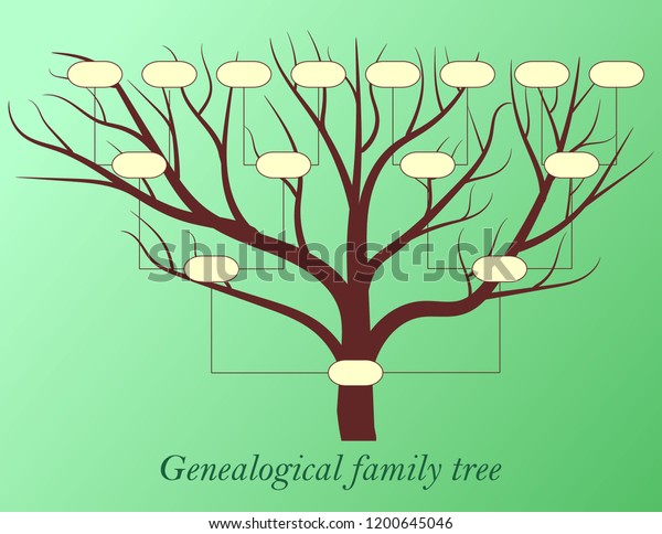 Genealogical Family Tree Vector Design Stock Vector (Royalty Free ...