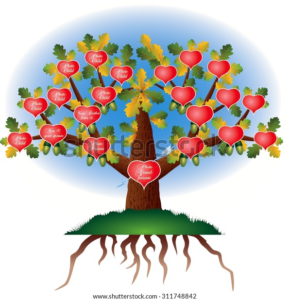 Genealogical Tree Family Oak Tree Background Stock Vector (Royalty Free ...