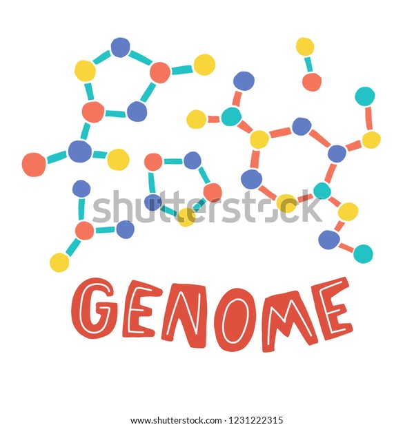 Genetic Engineering Genome Research Genome Sequencing Stock Vector ...