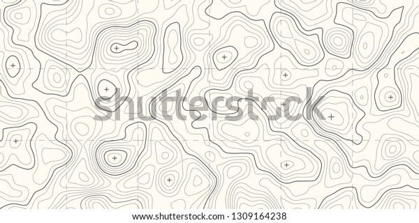 Geographic Topographic Map Grid Topography Map Stock Vector (Royalty ...