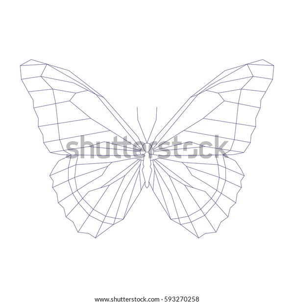 Geometric Linear Butterfly Vector Illustration Stock Vector (Royalty ...