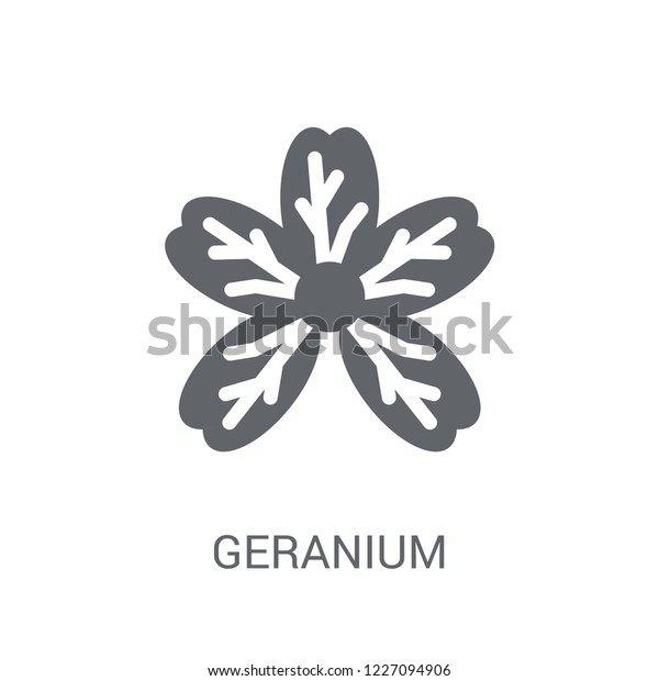 Geranium Icon Trendy Geranium Logo Concept Stock Vector (Royalty Free ...