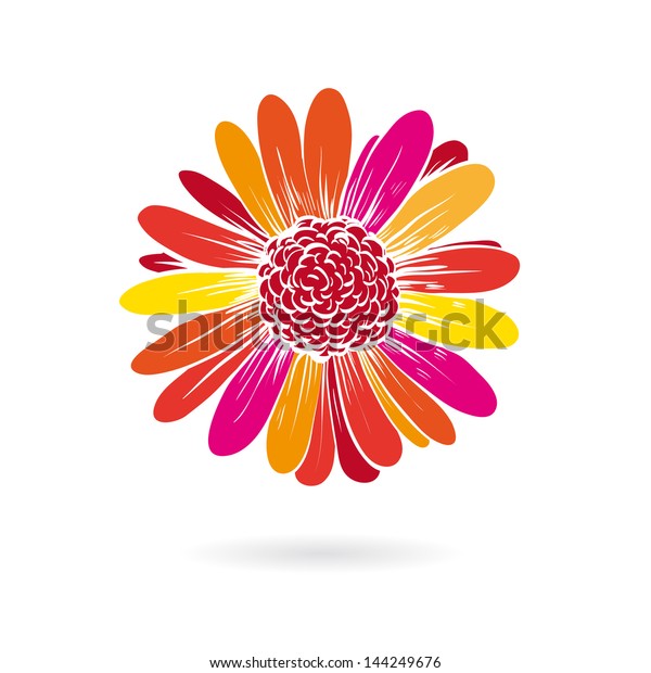 Gerber Flower Vector Illustration Stock Vector (Royalty Free) 144249676 ...