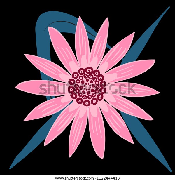Gerbera Daisy Isolated Vector Stylized Flower Stock Vector (Royalty ...