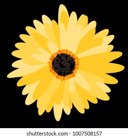 7,573 Gerbera daisy Stock Vectors, Images & Vector Art | Shutterstock