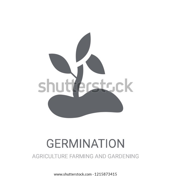 Germination Icon Trendy Germination Logo Concept Stock Vector (Royalty ...