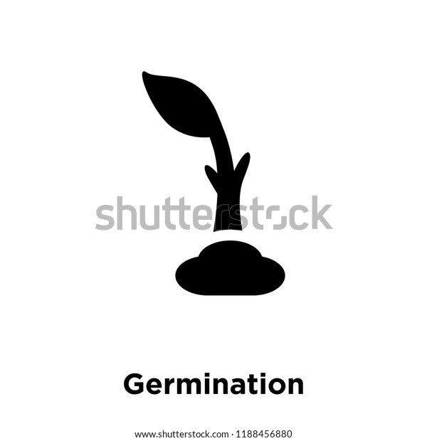 Germination Icon Vector Isolated On White Stock Vector (Royalty Free ...