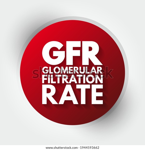 Gfr Glomerular Filtration Rate Acronym Medical Stock Vector (Royalty ...