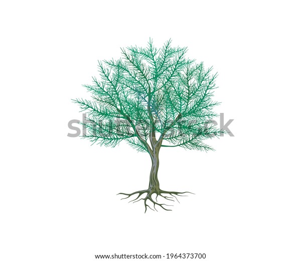 Gharqad Tree Vector Illustration Isolated On Stock Vector (Royalty Free ...
