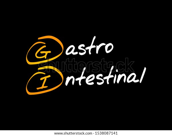 Gi Gastrointestinal Acronym Concept Background Stock Vector (Royalty ...