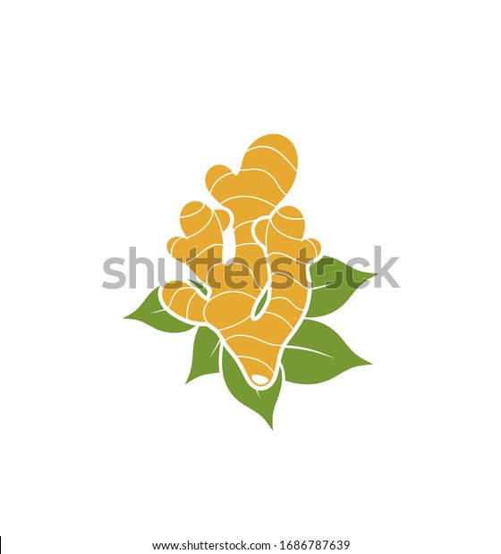 Ginger Logo Isolated Ginger On White Stock Vector (Royalty Free) 1686787639