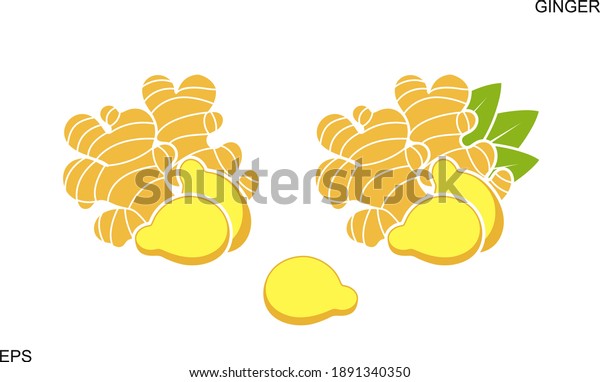 Ginger Logo Isolated Ginger On White Stock Vector (Royalty Free ...