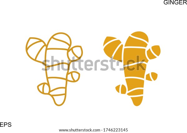 Ginger Outline Isolated Ginger On White Stock Vector (Royalty Free ...